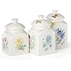 Amazon.com: Lenox Butterfly Meadow Canister Set: Home & Kitchen