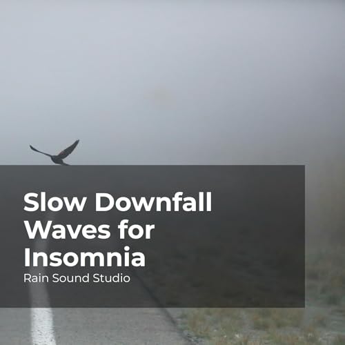 Amazon MusicでRain Sound Studio, Meditation Rain Sounds & The Rain ...