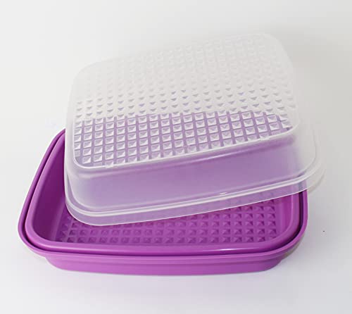 Tupperware Marinier Genie Fridge 1.9 Litres – BigaMart