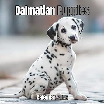 Dalmatian Puppies Calendar 2026: 14-Month Organizer from Nov 2025 to ...
