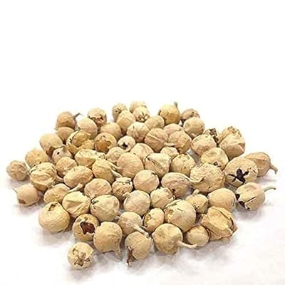 Buy Organic herbs Ayurvedic Herbal Indian Rennet | Paneer Doda | Paneer ...