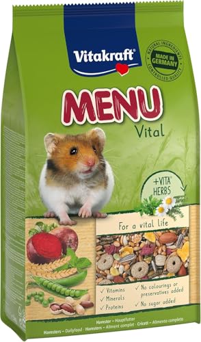 Hamster Zucht und Aufzucht | Alle Infos und Details