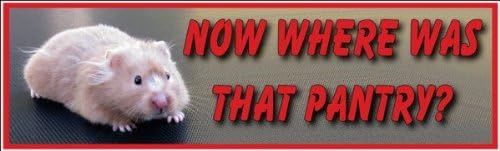 Amazon.com: Now Where was That Pantry? Hamster; Bumper Sticker : Automotive