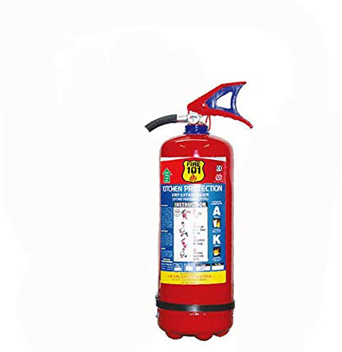 Fire 1On1, Clean Agent, Capacity - 4kg : Amazon.in: Home Improvement