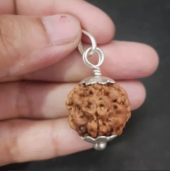 Gemstone Industry Rare Ekamukhi Rudraksha 1 Face Rudraksha 1 Mukhi Gold ...