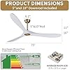 Amazon.com: Bigzone 70" Large White Ceiling Fan With Remote Control, DC ...