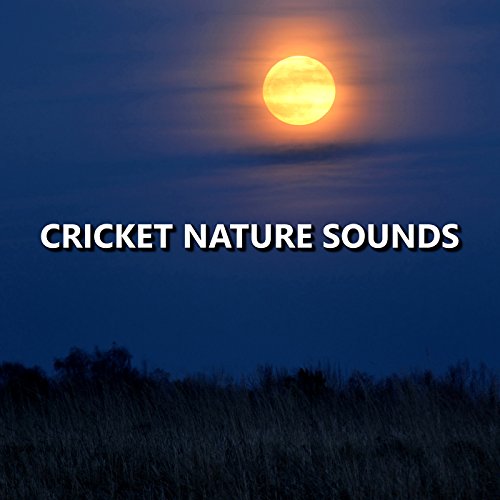 Play Cricket Nature Sounds by Cricket Sounds on Amazon Music