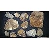 Amazon.com: 1 LB Genuine Colorado Gold Ore : Patio, Lawn & Garden