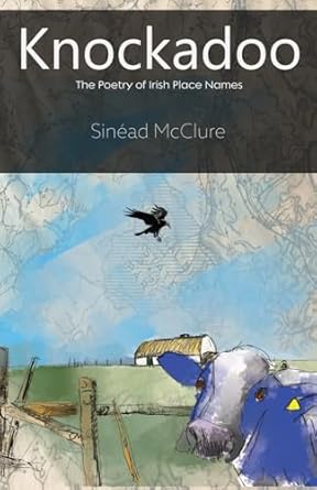Amazon.com: Knockadoo: The poetry of place names: 9781739102036 ...