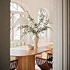 Amazon.com: Afloral Fake Plants Italian Ruscus Branch - 49" : Home ...