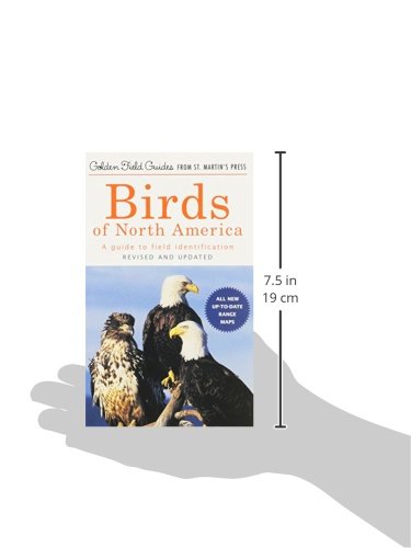 The 30 Field Guides To Read In April 2024 - Cherry Picks