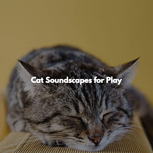 Amazon.com: Cat Soundscapes for Play : Dinner & Jazz Radio, Jazz Romance: Digital Music