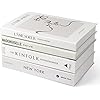 Amazon.com: 4 Pack Faux Books for Decoration, Ediactcyl Modern Fashion ...