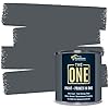 THE ONE Paint Dark Grey Matt 250ml - Amazon.com