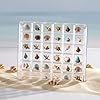 Amazon.com: Vodolo Acrylic Magnetic Seashell Display Box,Clear Sea ...