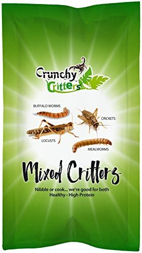 Crunchy Critters Edible Insects Mixed Critters : Amazon.co.uk: Pet Supplies
