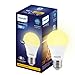 Buy PHILIPS 18-watt LED Bulb | AceBright High Wattage LED Bulb | Base ...