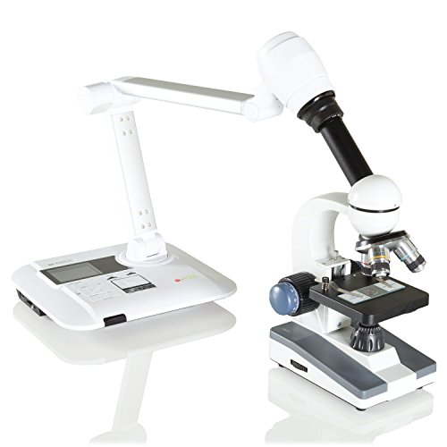 The 28 Best Office Overhead Supplies of 2025 [Verified] - Cherry Picks