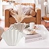 Amazon.com: Seashell Vase, Shell Shaped Vases for Living Room Decor ...