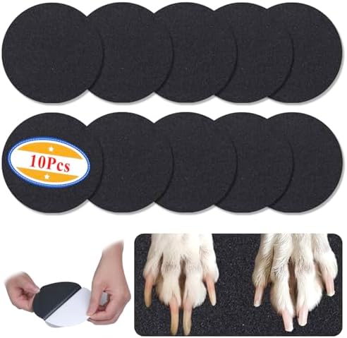 Amazon.com: DCSUCC Dog Nail File - 10 Pcs Replaceable Dog Nail File Toy ...