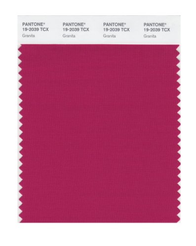 Pantone 19-2039 TCX Smart Color Swatch Card, Granita : Amazon.in: Home ...