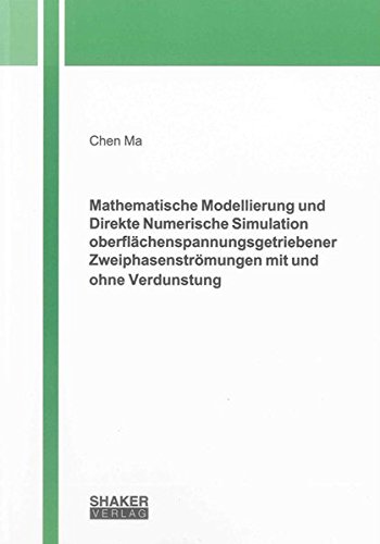 Mathematische Modellierung und Direkte Numerische Simulation ...