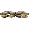 Amazon.com: ButtonMode Replacement Buttons for Khakis, Chinos, Casual ...