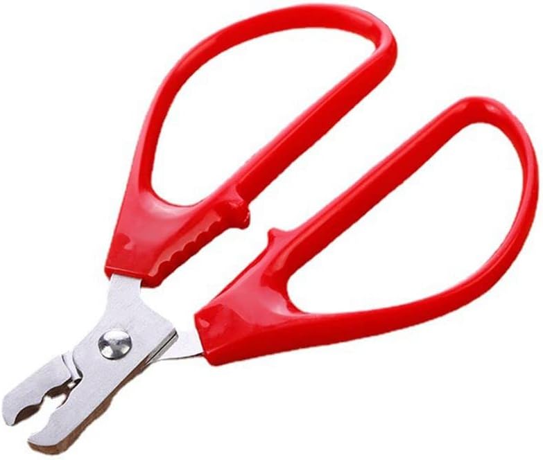 Amazon.com: Stainless Steel Melon Seed Peanut Shell Openers, Nut Shell ...