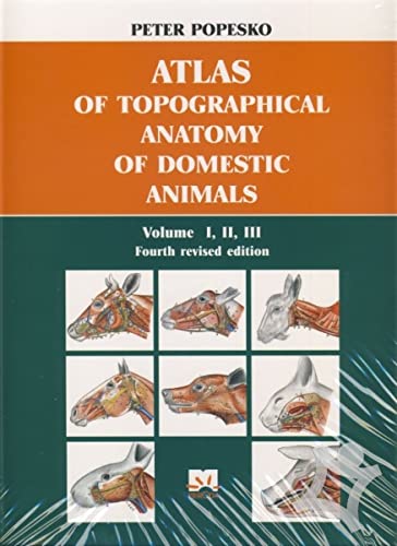 Atlas Of Topographical Anatomy Of Domestic Animals, 4th Edition, Volume ...
