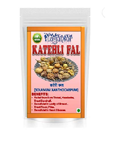 Buy YUGANTAR KATERI FRUIT - KATEHLI FAL - SOLANUM XANTHOCARPUM ...