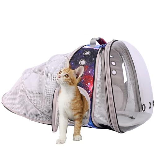 Cat Bubble Backpack – The 15 best products compared - Wild Explained