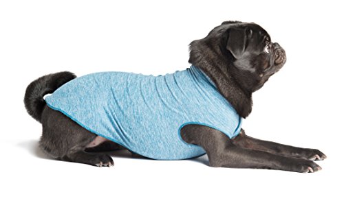 Top 6 Best Sun Protection Clothing for Dogs (For Cooling and Sunburn)