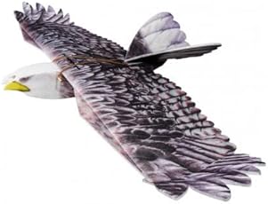 Amazon.de: Arkai - alles RC: RC-Flugmodelle