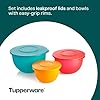 Amazon.com: Tupperware Impressions Classic 3 Bowl Food Storage Set in ...