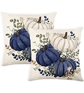 Amazon.com: MAZSHTTD Pillow Cover Fall Blue Pumpkin Throw Pillow Covers ...