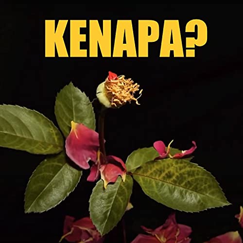 Amazon.co.jp: Kenapa? : Mady Bee: デジタルミュージック