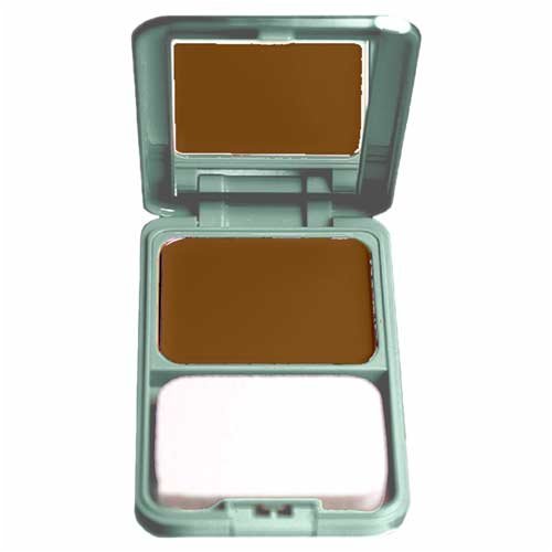 Amazon.com : Princess Livia Perfect Coverage Foundation : Foundation ...