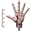 Amazon.com: Yaoliucp Hand Model 1:1 Articulated Mannequin Hand Moveable ...