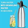 Amazon.com: LANGSHI Soda Siphon, 1 Liter Silver Soda Water Siphon Sparking Water Maker, Portable ...
