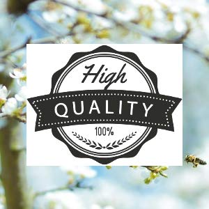 Jewelscart Brass Jewels Cart Ring for Women (Jc01001096, Silver ...