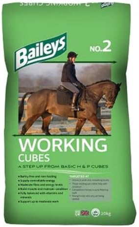 Baileys No 4 Top Line Conditioning Cubes Horse Feed 20Kg : Amazon.co.uk ...
