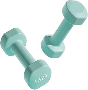 Amazon.com : HAMEXLN Dumbbel Sports And Fitness Dumbbells Suitable For ...