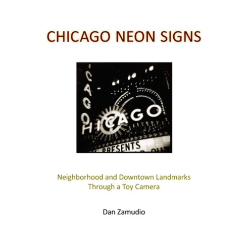 Chicago Neon Signs: Neighborhood and Downtown Landmarks Through a Toy ...
