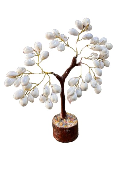 Buy Original Kaudi Tree for Home Decor and Spirituality Trending Beauty ...