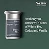 Amazon.com: Westin White Tea Room Diffuser and Scent Capsule - Hotel ...