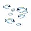 Coloured Bathroom Stickers [Waterproof] Photographic Quality Decal ...