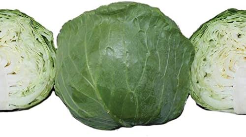 Amazon.com: Park Seed Katarina Hybrid Cabbage Seeds, Quick Growth, Pack ...