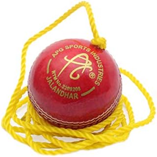 Gts Dezir Leather Cricket Ball, Size Standard, (Red) : Amazon.in ...