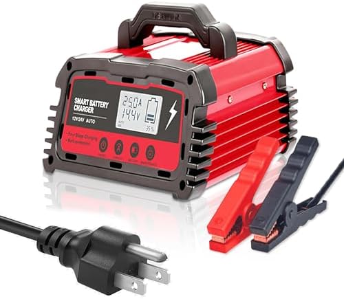 Amazon.com: Etrogo 12V 24V Charger for Lead Acid Battery 250W 10A ...