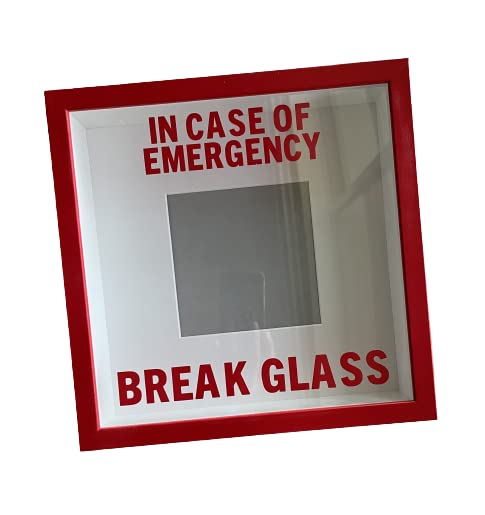 Amazon.com: Emergency Shadow Box - In Case of Emergency (Red) : Home ...